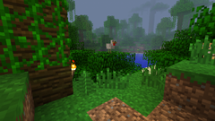 Ocelot - Minecraft Wiki Polska