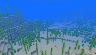 Ocean - Minecraft Wiki Polska