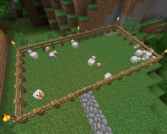 Kura - Minecraft Wiki Polska