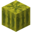 Arbuz - Minecraft Wiki Polska