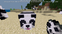 Panda - Minecraft Wiki Polska