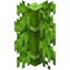 Bambus - Minecraft Wiki Polska