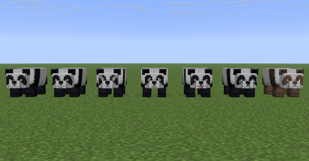 Panda - Minecraft Wiki Polska