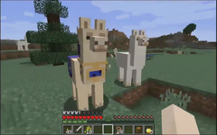 Lama - Minecraft Wiki Polska