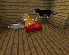 Kot - Minecraft Wiki Polska