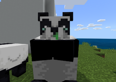 Panda - Minecraft Wiki Polska